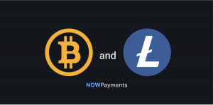 Bitcoin vs. Litecoin Review: Difference, Prices, Algorithms