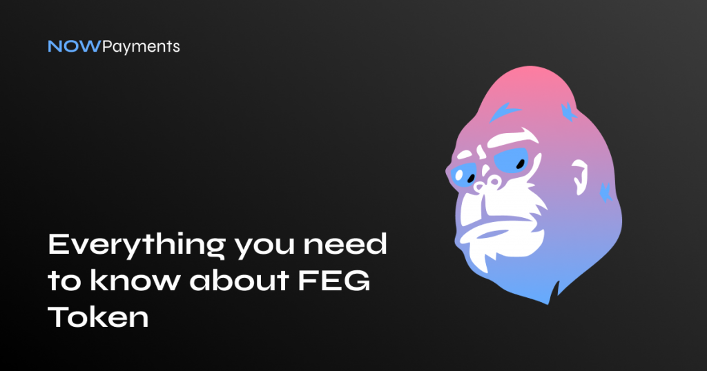 FEG coin cryptocurrency and token: review 2024