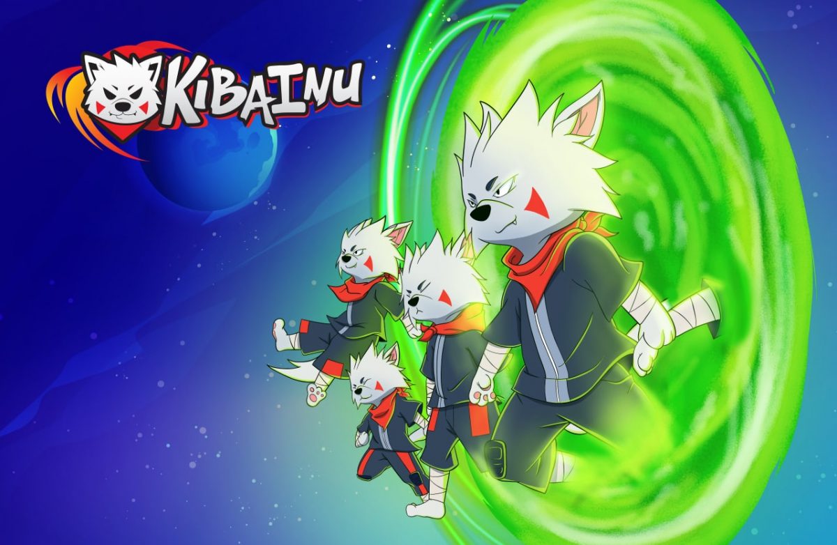 How Kiba Inu crypto benefits your business | NOWPayments