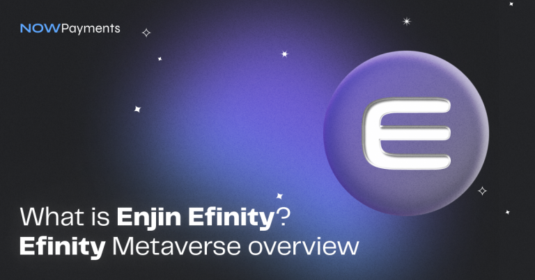 What is Enjin Efinity Metaverse? | NOWPayments