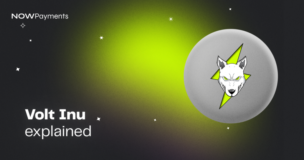 What is Volt Inu cryptocurrency in 2025?