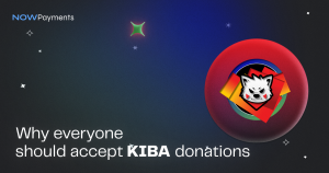Why you can benefit from donations in Kiba Inu | NOWPayments