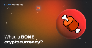 Bone cryptocurrency explained | NOWPayments