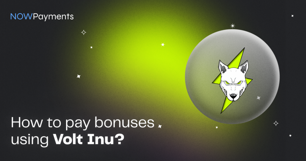 How to Pay Salary Bonuses Using Volt Inu? | NOWPayments