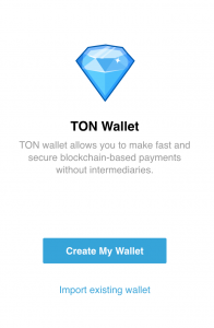 Embrace TON Payments: Latest Developments | NOWPayments