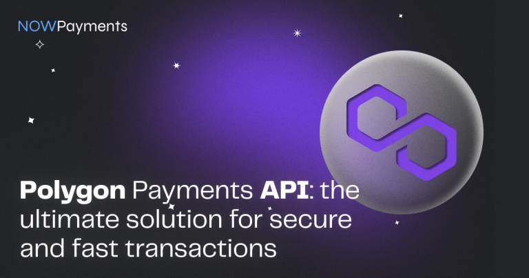 Maximize Profits with Polygon Payments API | NOWPayments