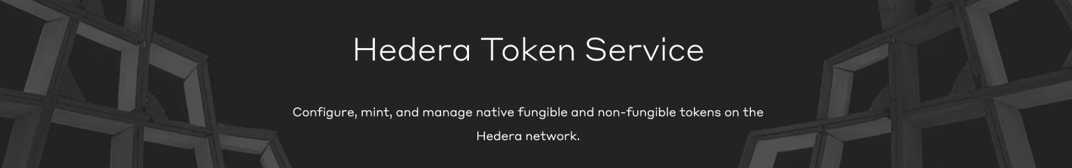 Hedera' Recent Developments: An Ultimate Guide | NOWPayments