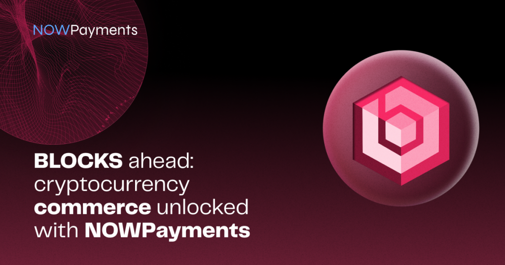 Empower Your Crypto Commerce with BLOCKS | NOWPayments