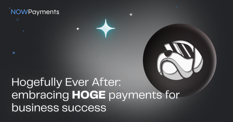 Comprehensive Guide to HOGE Payments | NOWPayments