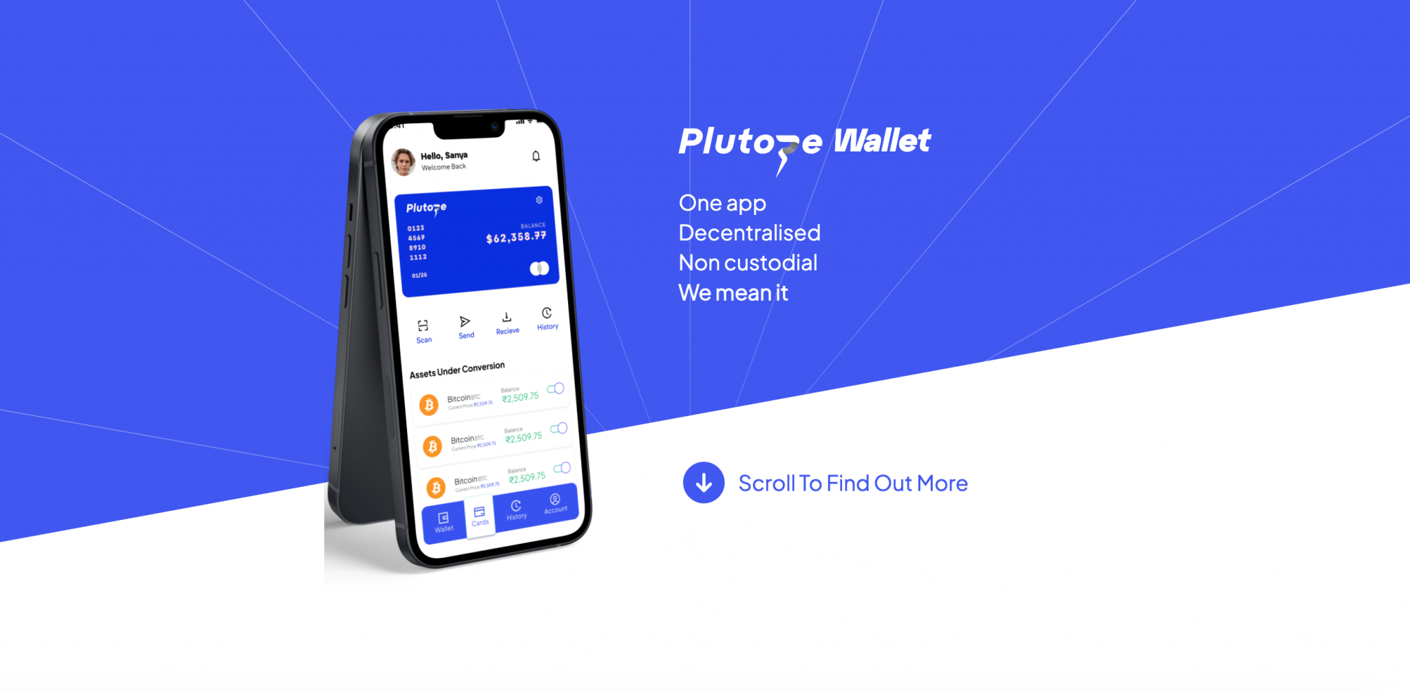 PlutoPe Partners with a Crypto Payment Gateway | NOWPayments