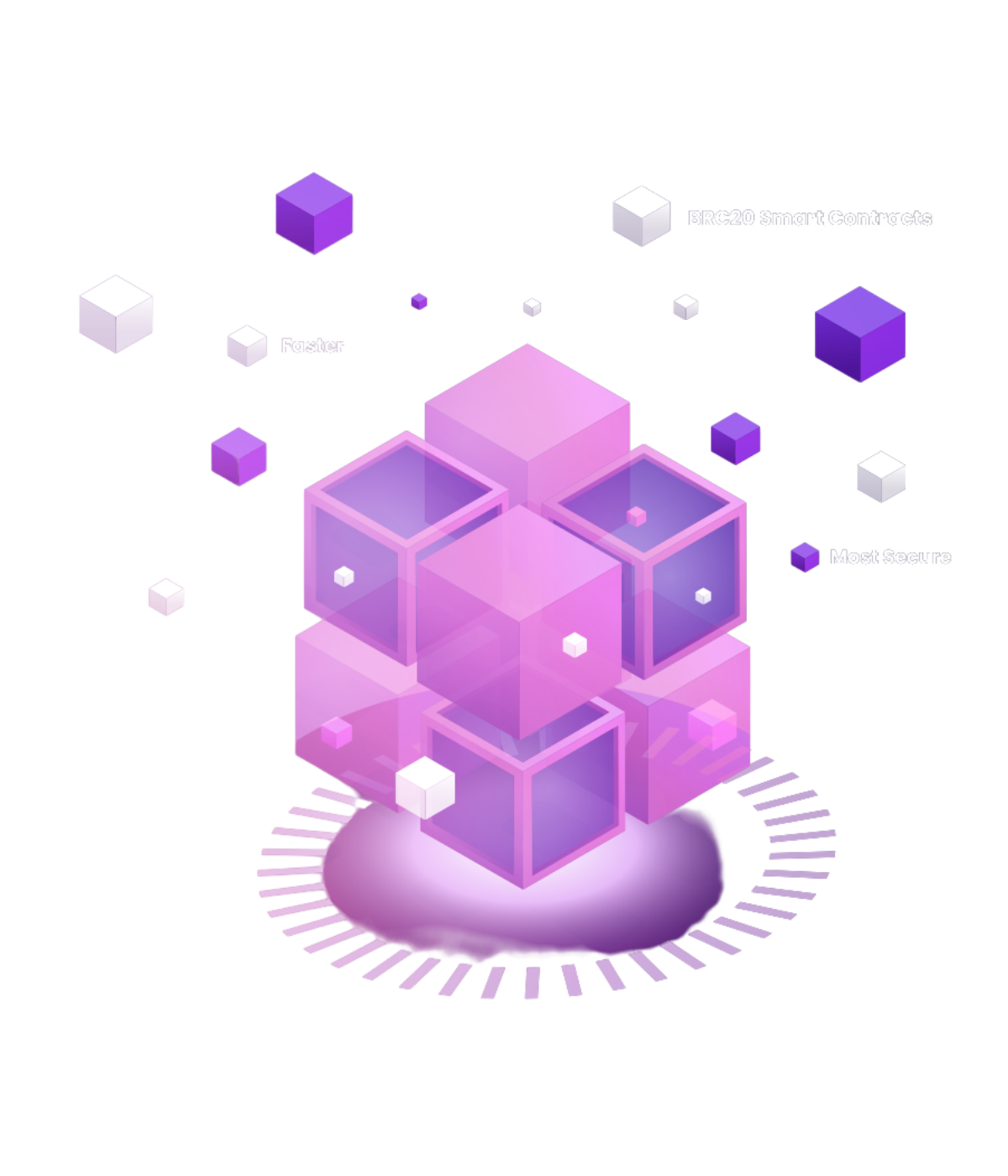 How Does NFT Checkout Works with BRISE? | NOWPayments