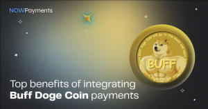 What Are Benefits of Buff Doge Coin Payments? | NOWPayments