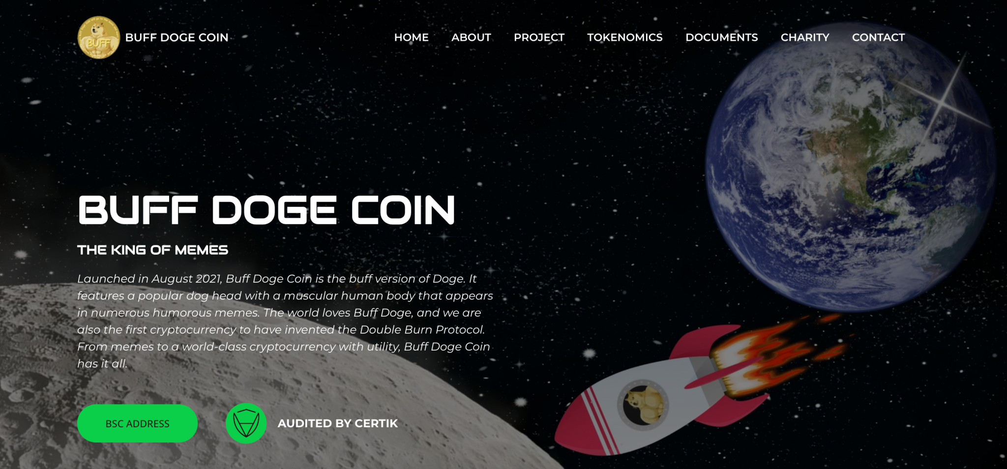 What Are Benefits of Buff Doge Coin Payments? | NOWPayments