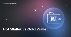 Hot Wallet vs Cold Wallet: Understanding Crypto Wallet